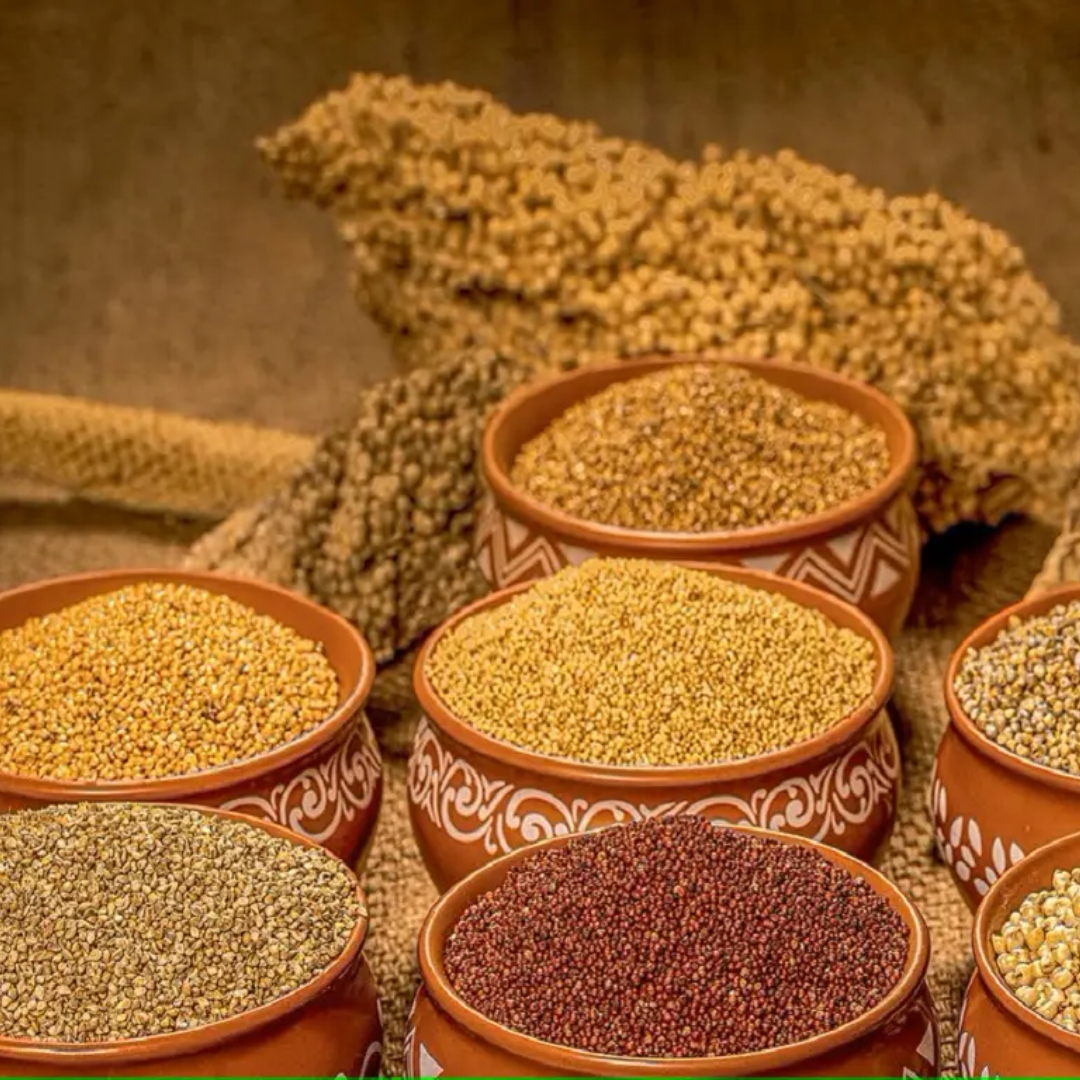 Tasty Millet Snacks for Kids: Healthy and Easy to Pack – GubGub